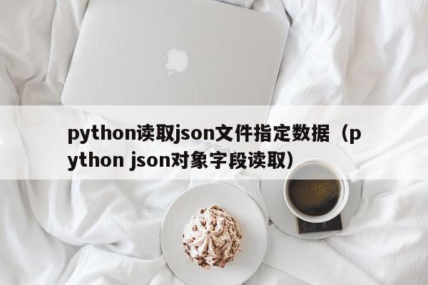 Python读取json文件指定数据（python Json对象字段读取） 杂七乱八 源码村资源网