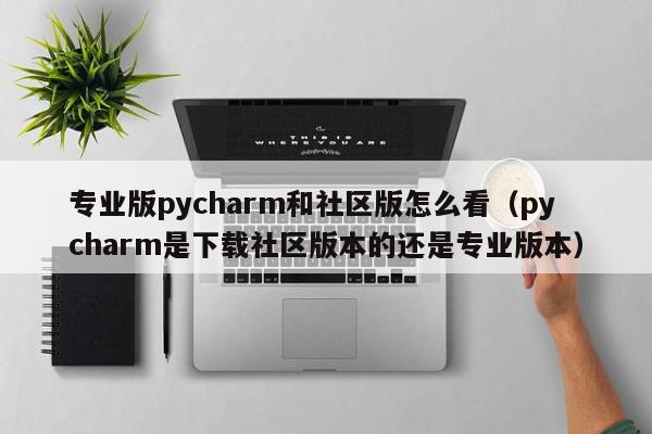 专业版pycharm和社区版怎么看（pycharm是下载社区版本的还是专业版本） - 源码村资源网